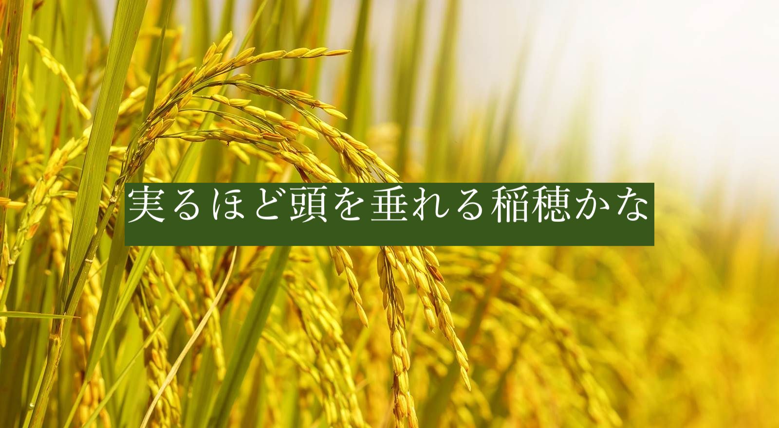 8 NGHỆ THUẬT LÀM GIÀU BỀN VỮNG TRĂM NĂM CỦA NGƯỜI NHẬT - Trung tâm ...